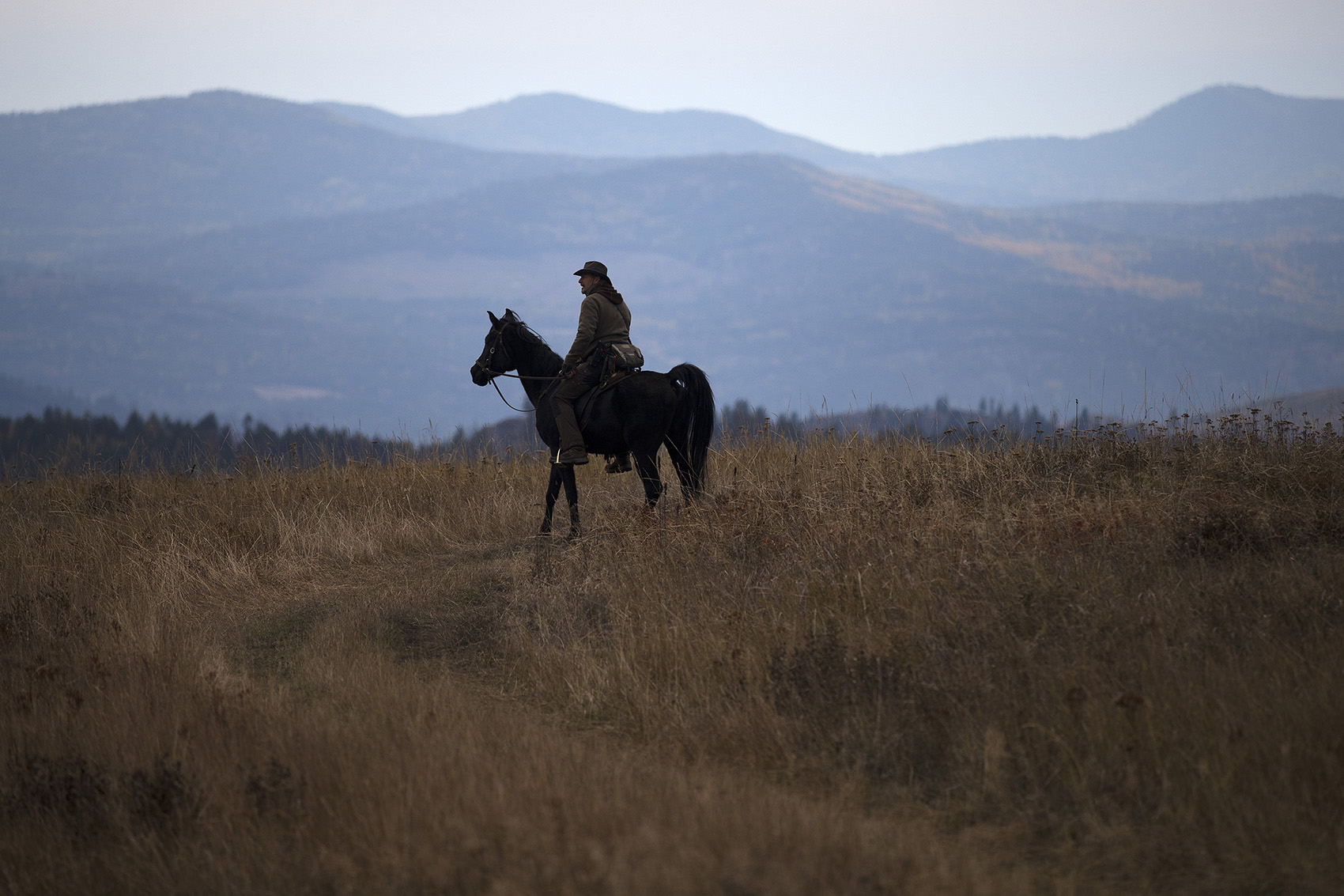 KUOW - THE WILD and The Story Collider present Wild Stories
