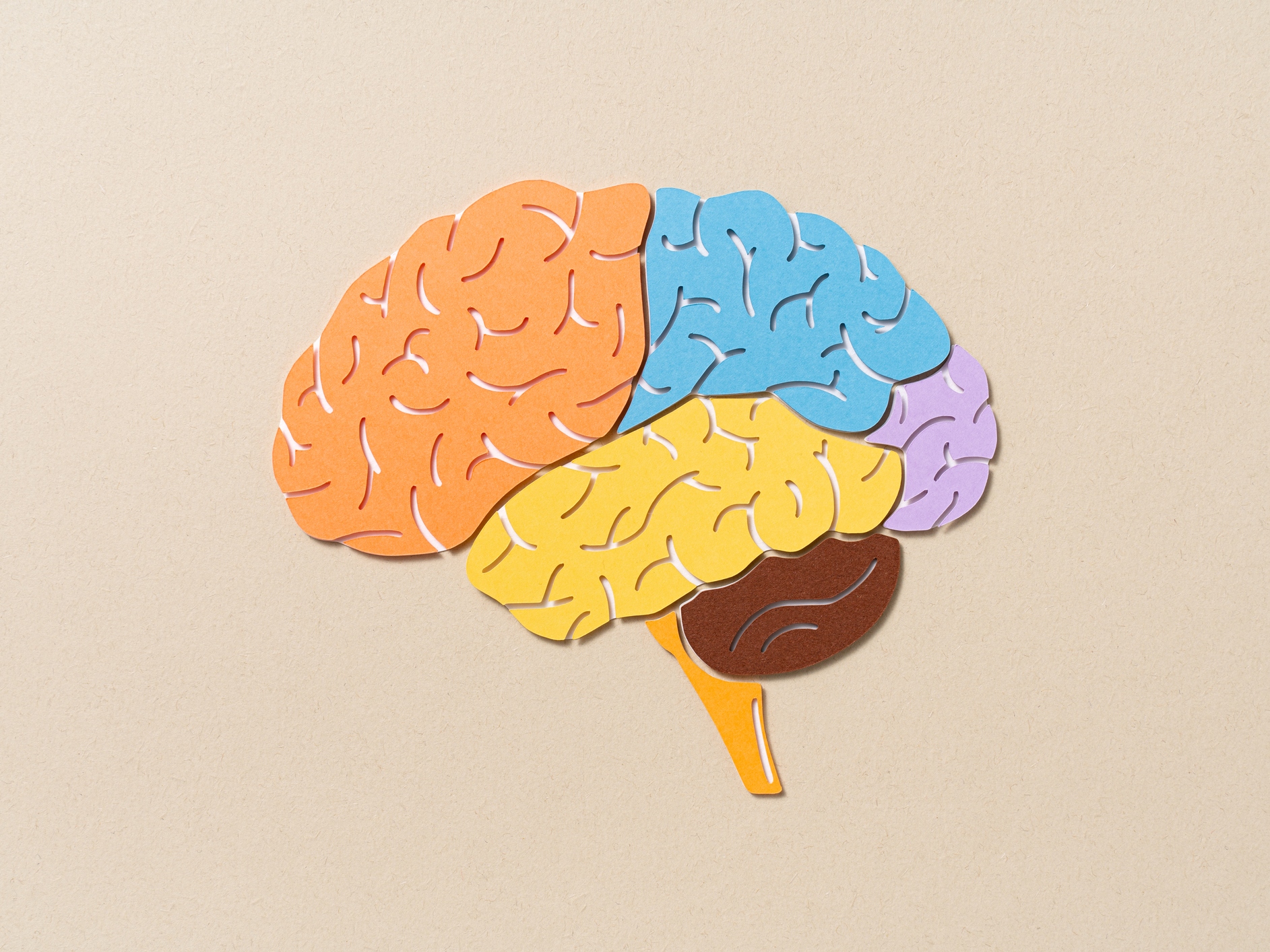 KUOW - You can reduce your risk of dementia. Here's how to get started