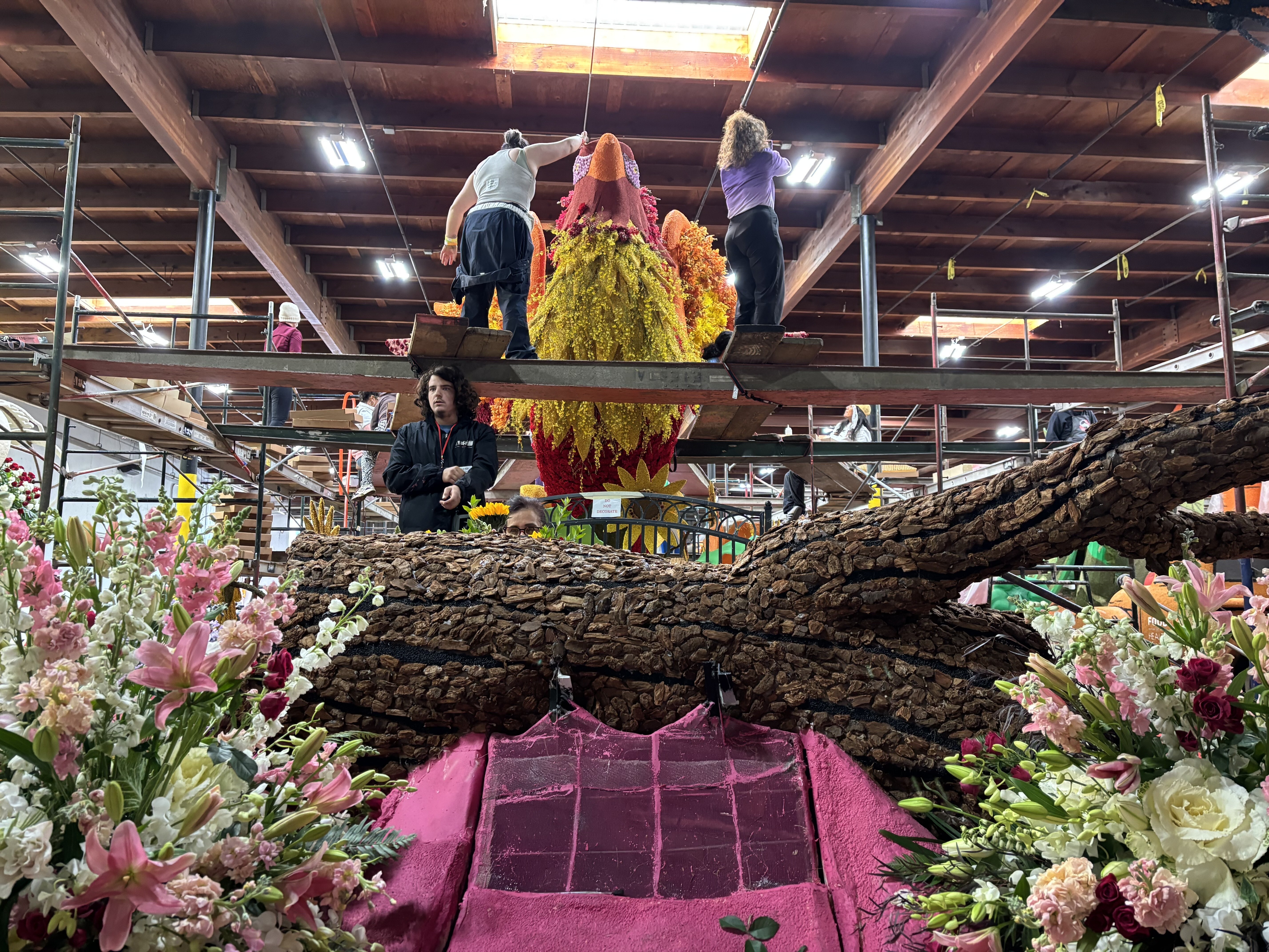 KUOW - Rising from the ashes, a symbol of hope at the Rose Parade