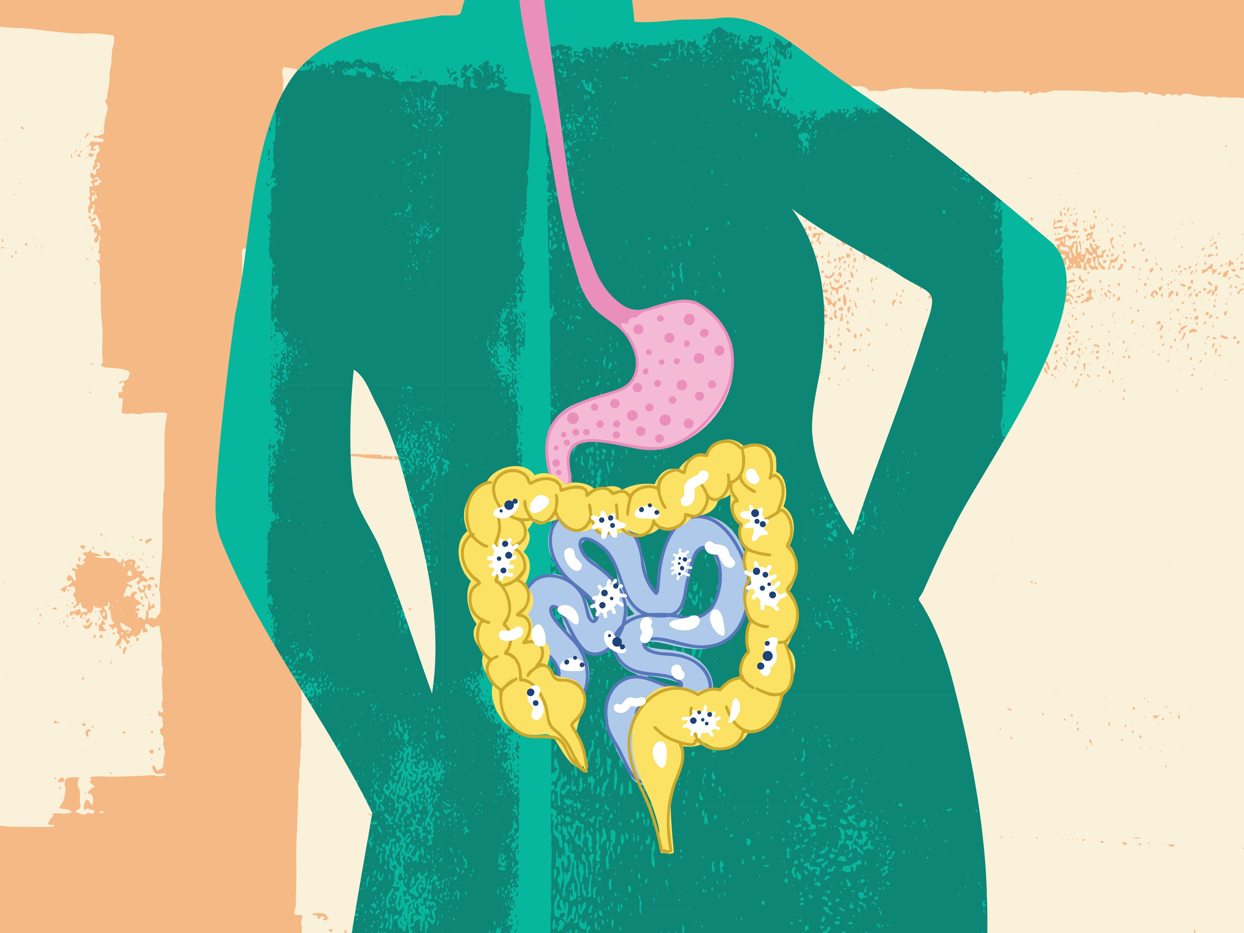 KUOW - 8 things to know about the gut microbiome and keeping yours healthy