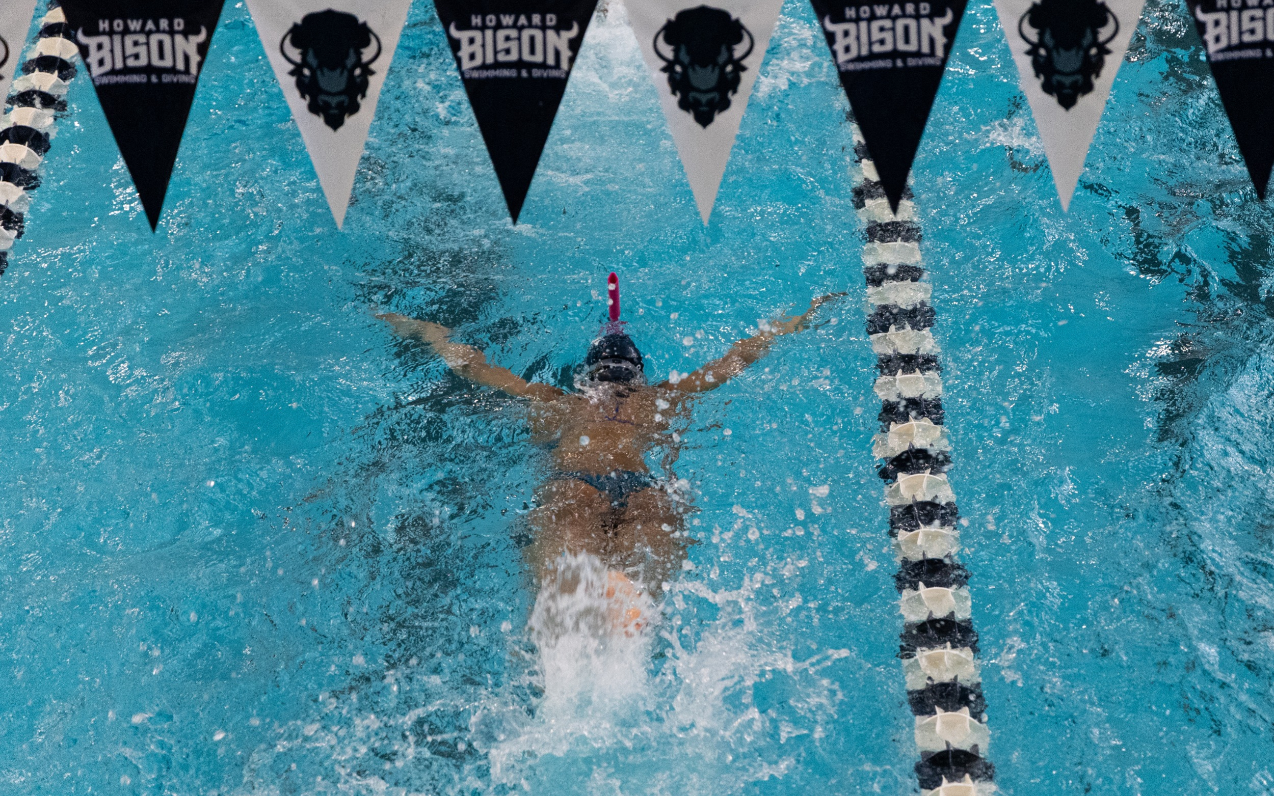 KUOW - The last all-Black college swim team is on the verge of victory
