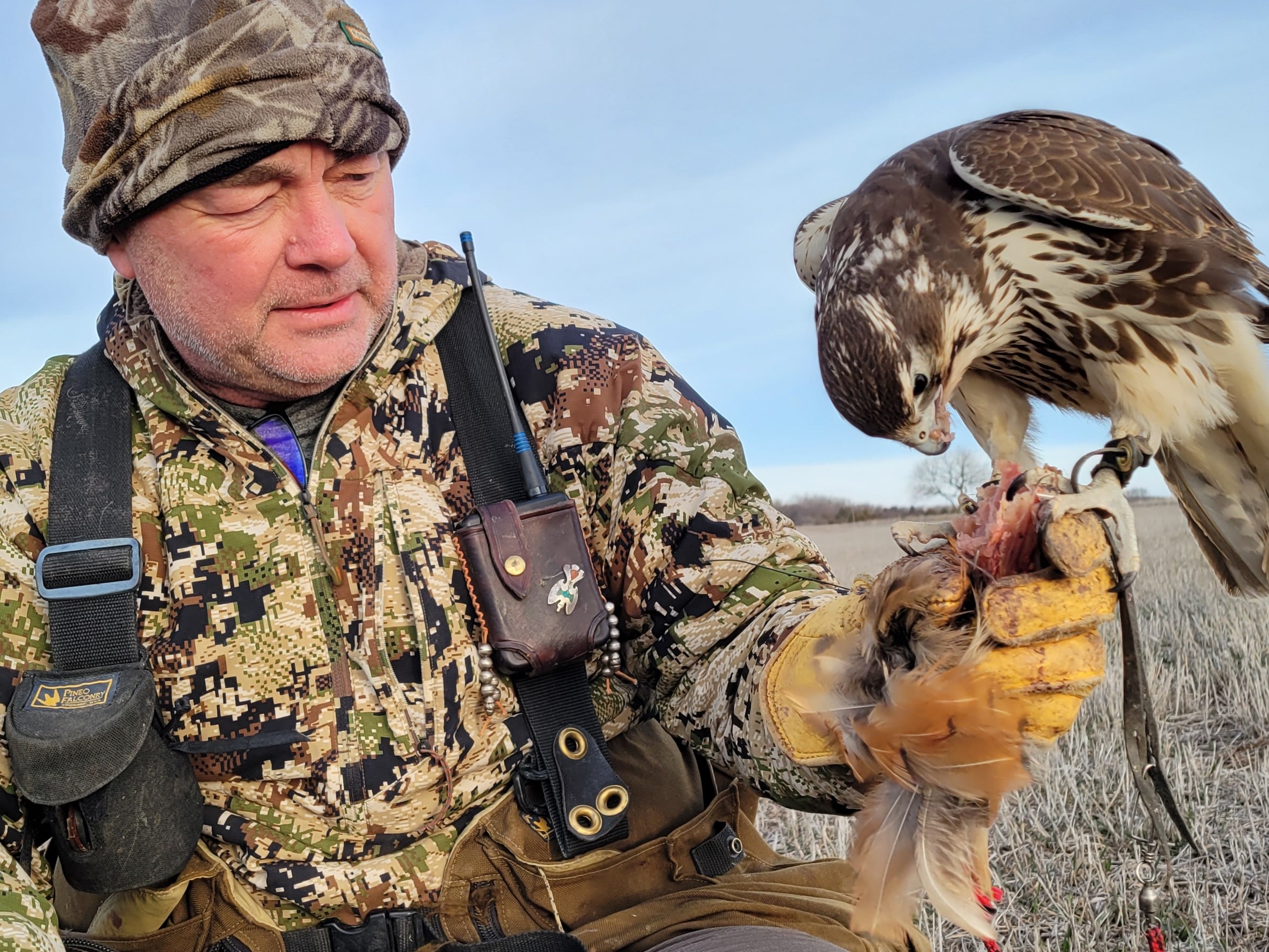 KUOW - On the Kansas prairie, a master falconer develops a unique bond ...